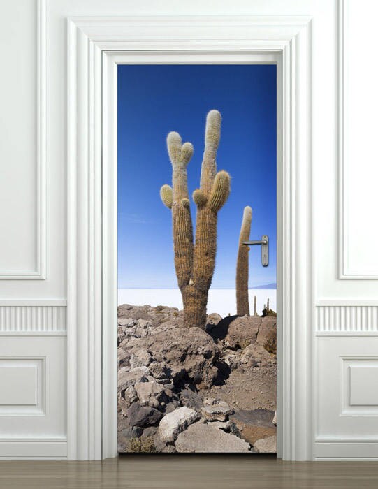 Cactus Door Sticker, Door Wallpaper, Door Mural, Cactus Nature Wall Ar ...